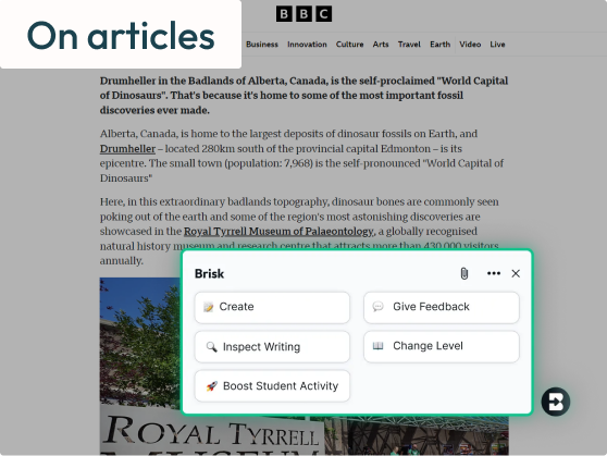 Getting Started with Brisk Teaching